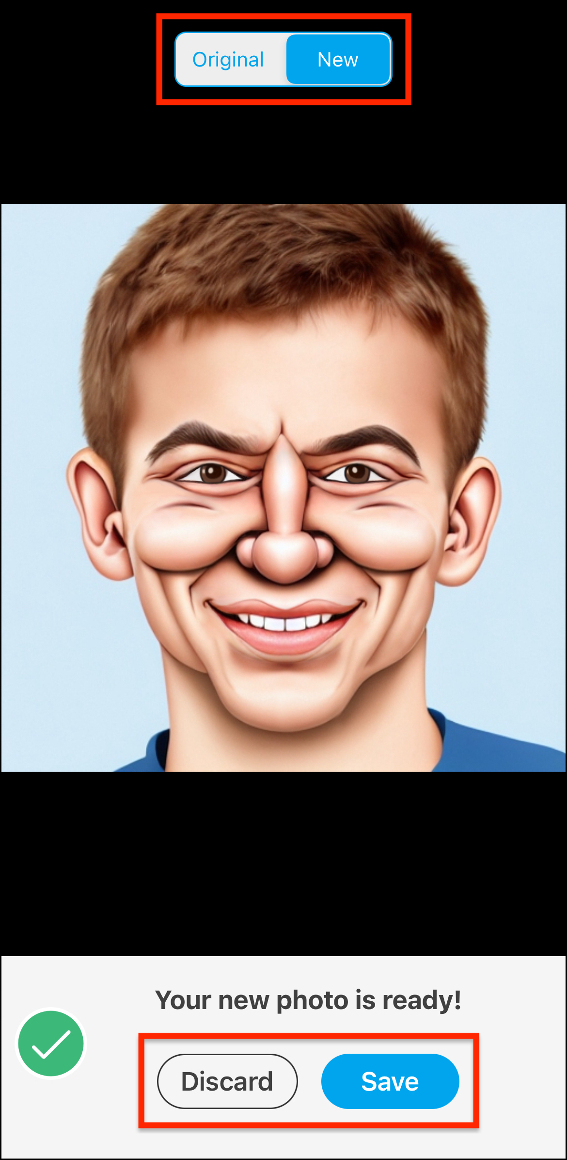 How to Use the Caricature Style Tool – Help Center